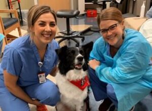 Intermountain Therapy Animals