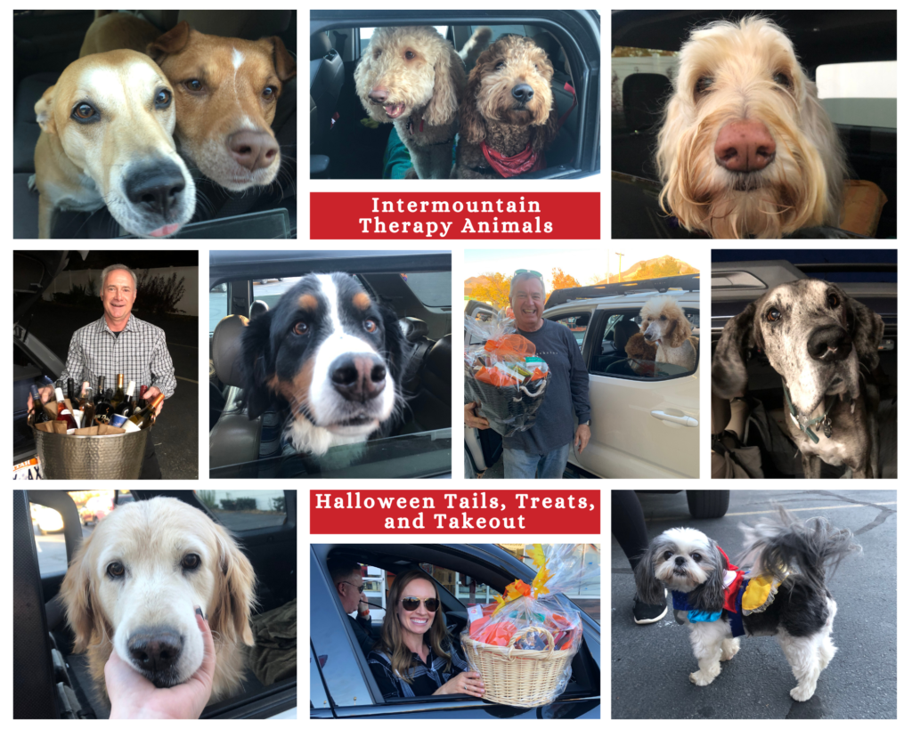 Events – Intermountain Therapy Animals